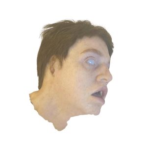 Dismembered Human Head - Medical hire