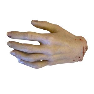 Severed Hand (Left) - Medical hire